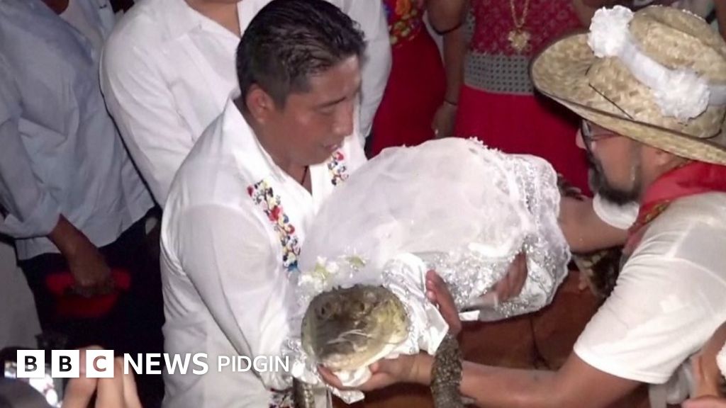 Man 'marries' crocodile: Video show Mexican mayor as e marry di animal ...