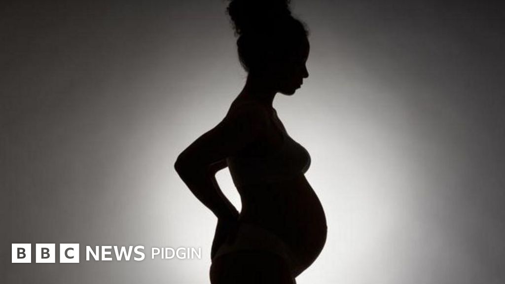 Mitochondrial Eve: Di evidence and controversies of "di mama of all ...