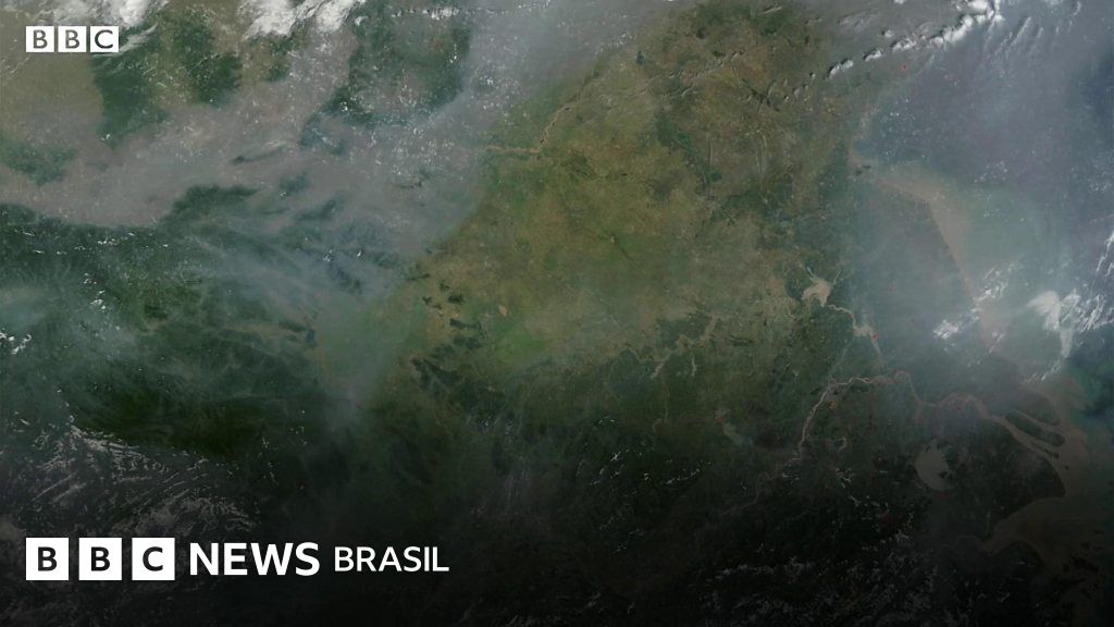 Cinco motivos que explicam por que a pandemia do coronavírus pode não ...