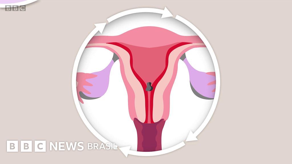 Como se produz a menstruação, que ainda é tabu apesar de ocorrer a mais ...