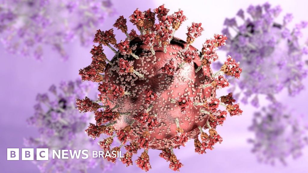 Novo modelo matemático estima impacto da 3ª dose da vacina contra ...