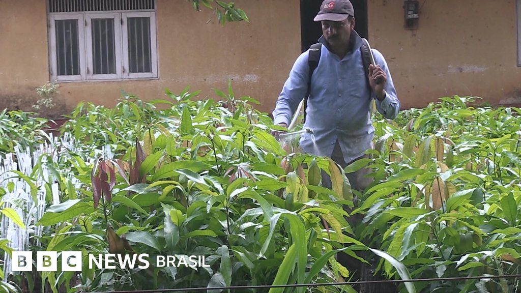 Ingestão de pesticidas é responsável por um em cada cinco suicídios no ...