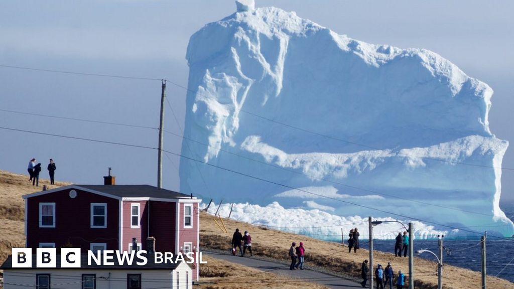 Crime no Canadá: destilaria de vodca aciona polícia após sumiço de 30 ...
