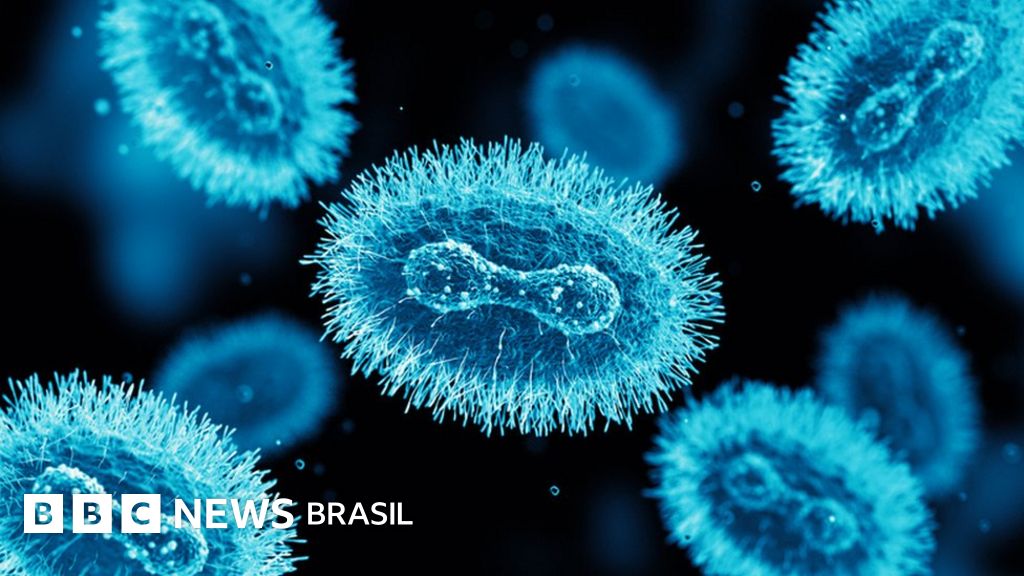 Varíola dos macacos: como sintomas da doença mudaram e intrigam médicos ...