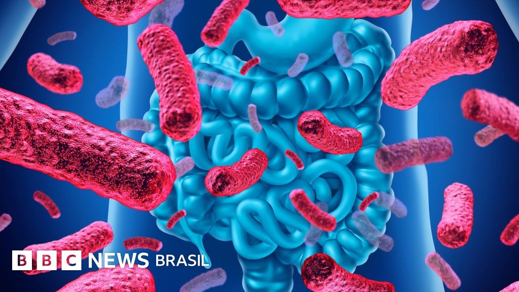 Pesquisa liderada por brasileiro usa bactérias do intestino para ...