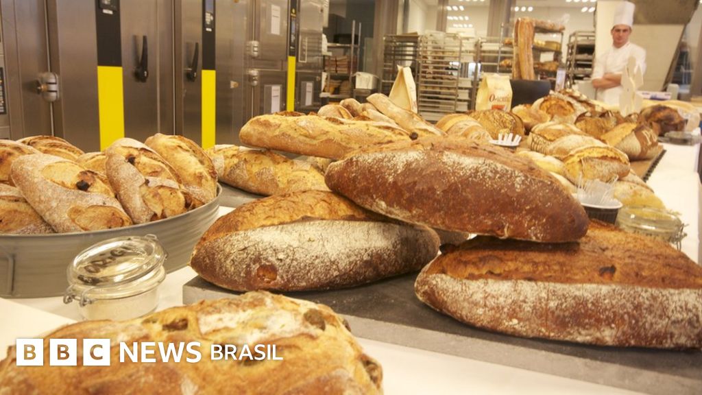 Como o trigo 'domesticou' a humanidade – e vice-versa - BBC News Brasil