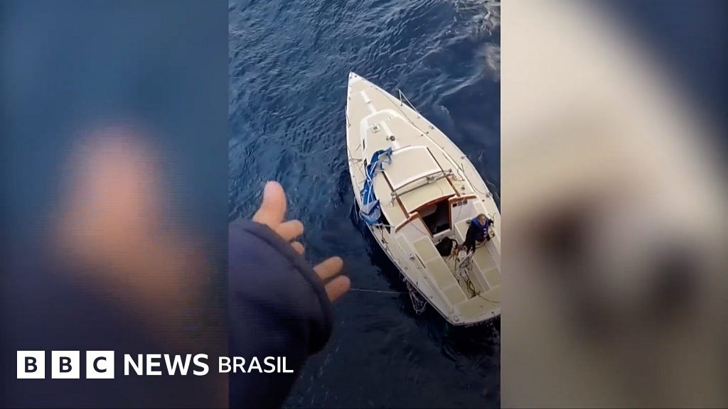 A Saga De Dois Velejadores E Um Cachorro Resgatados Após 10 Dias à