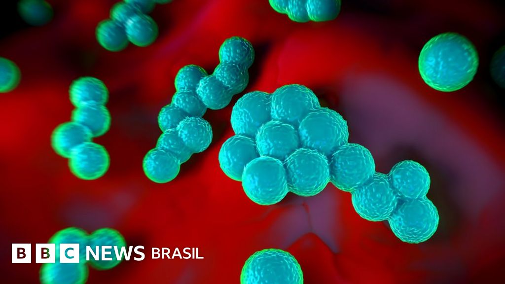 'Staphylococcus aureus' e outras bactérias que colocam a saúde em risco ...