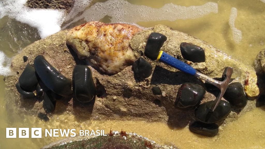 O que são as rochas de Charles Darwin, que opõem ambientalistas e ...