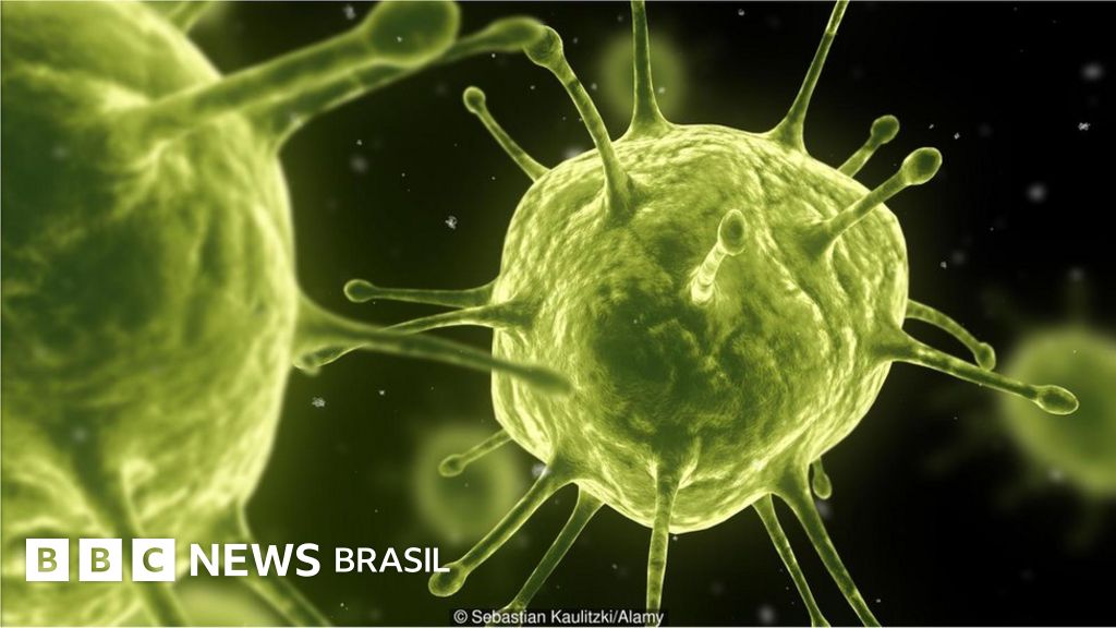 Provocar 'briga entre células' e outros truques da evolução humana que ...