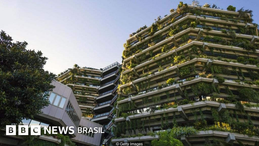Construção verde: o setor que vai oferecer milhões de empregos - BBC ...