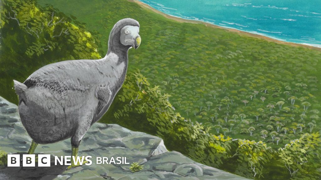 Cientistas começam a desvendar segredos do dodô, pássaro extinto há 3 ...