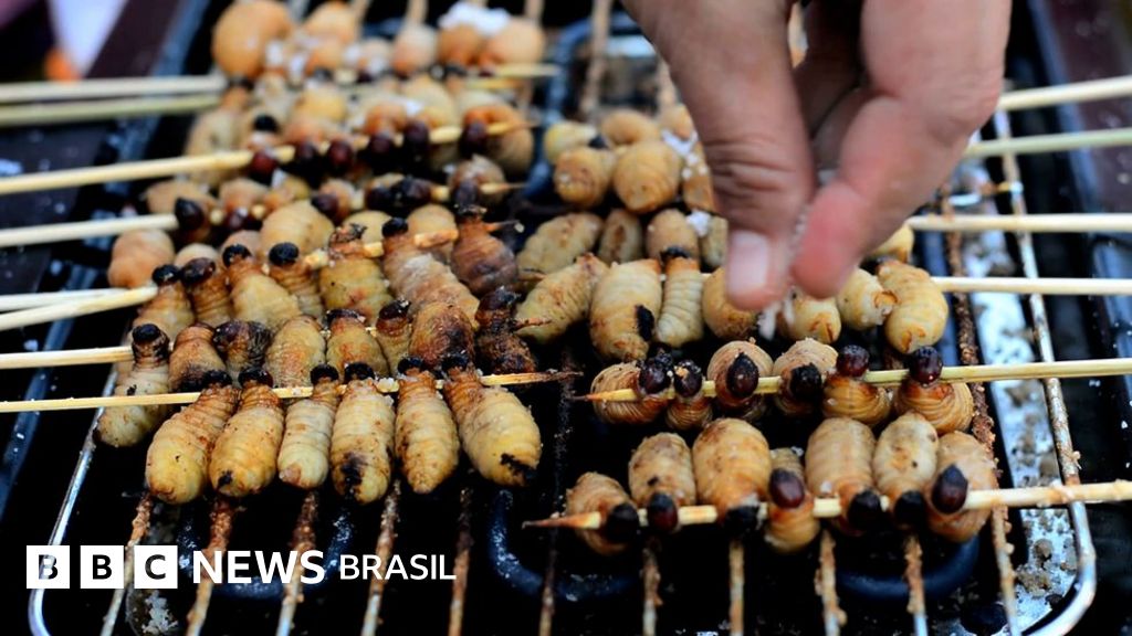Insetos: o alimento supernutritivo desprezado pelo mundo ocidental ...