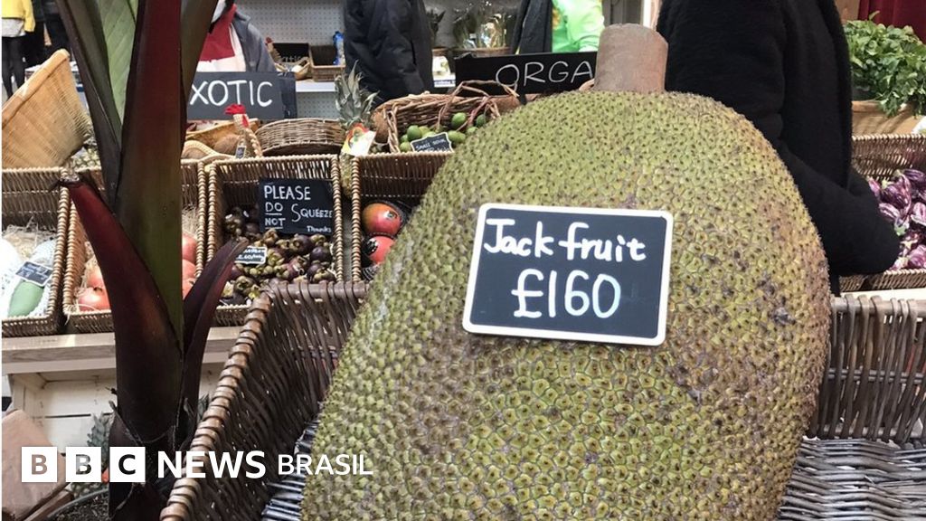 Por que uma jaca chega a custar mais de mil reais na Inglaterra? - BBC ...