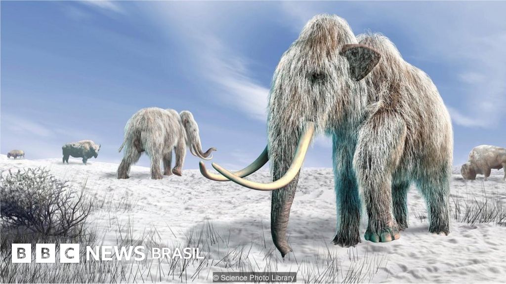 A possibilidade cada vez mais real de termos zoológicos de animais ...