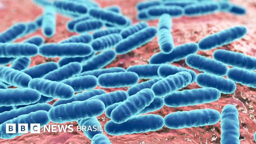 Teste indica as comidas que melhoram a flora intestinal - BBC News Brasil