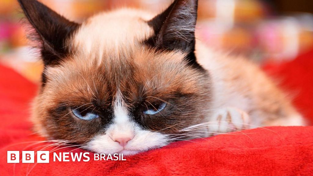 O surpreendente lado positivo do mau humor - BBC News Brasil