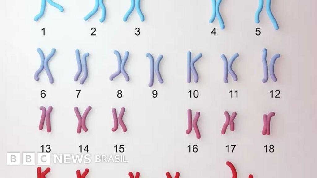 Cromossomo Y: o que 1º sequenciamento completo revela sobre genética ...