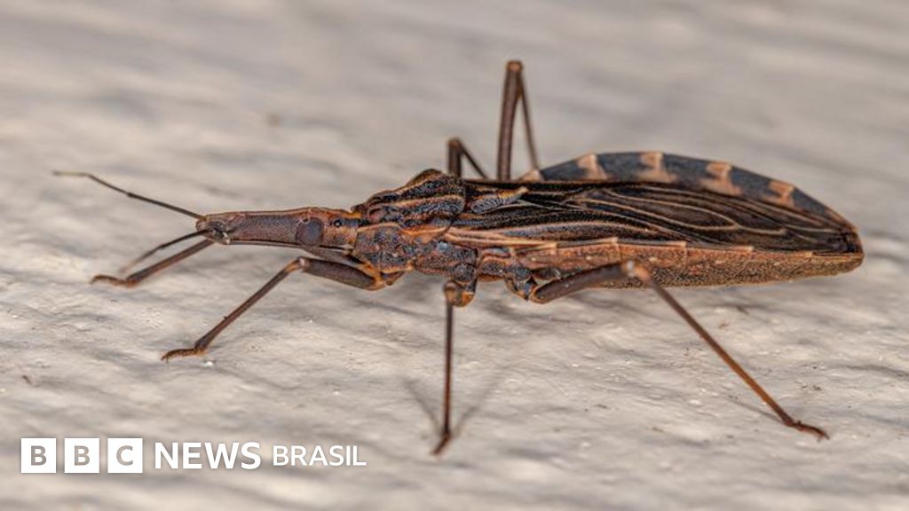 O recém-descoberto gene que protege povos amazônicos da doença de ...