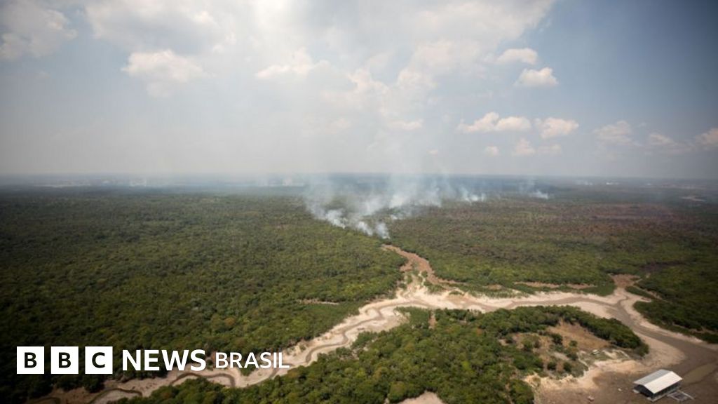 Os fatores para a seca dramática que está atingindo os rios da Amazônia ...