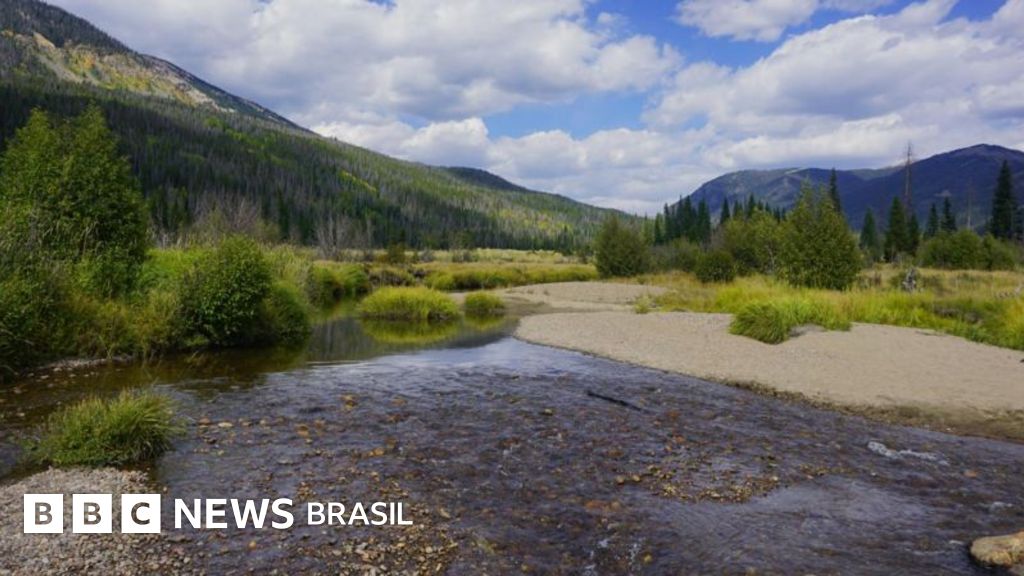 A família que abandonou civilização e acabou morrendo em montanha nos ...