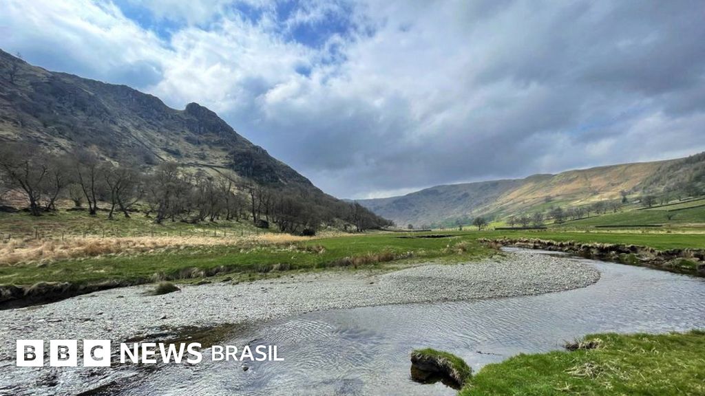 A ‘desretificação’ que devolveu vida a rio ‘morto’ há dois séculos ...