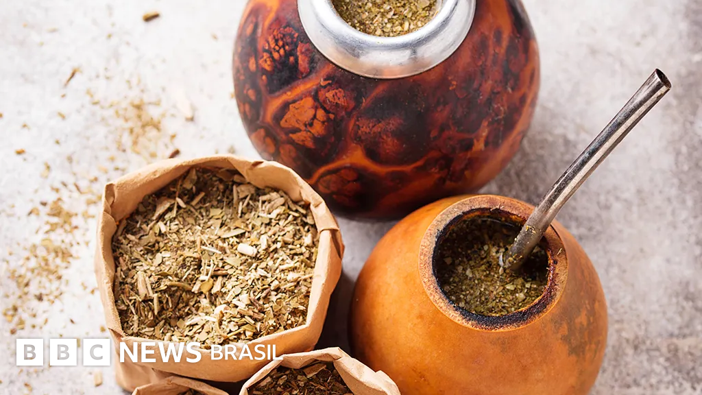 Chimarrão: como erva-mate está ganhando o mundo graças a Messi e outros ...