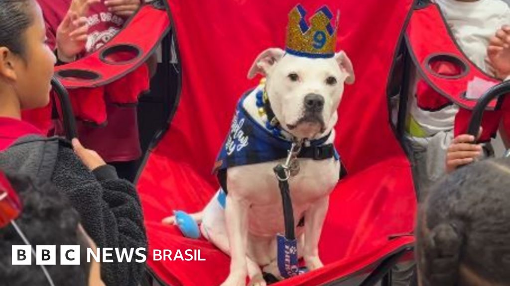 Crianças cantam 'parabéns pra você' em língua de sinais para cão surdo ...