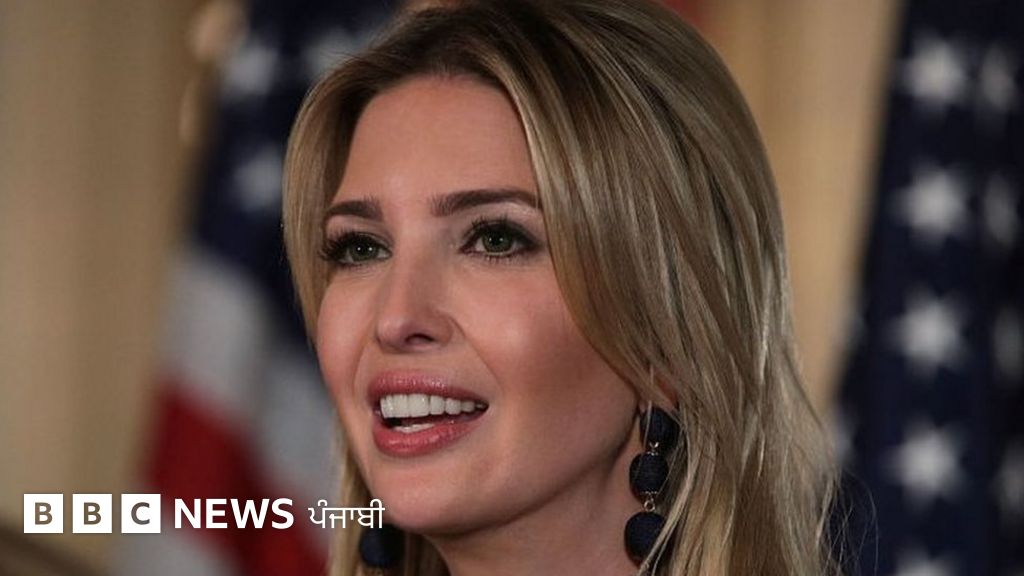 ਅਮਰੀਕਾ: ਡੌਨਲਡ ਟਰੰਪ ਬਾਰੇ ਨਵੀਂ ਕਿਤਾਬ ਵਿੱਚ ਧਮਾਕੇਦਾਰ ਖੁਲਾਸੇ - BBC News ਪੰਜਾਬੀ