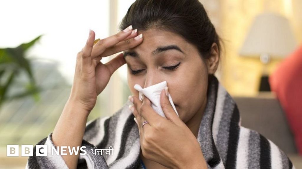 H3N2 : ਦੇਸ਼ ਭਰ 'ਚ ਫੈਲ ਰਿਹਾ ਇਹ ਵਾਇਰਸ ਕਿੰਨਾ ਖ਼ਤਰਨਾਕ ਤੇ ਕੀ ਕਹਿੰਦੇ ਹਨ ਡਾਕਟਰ - BBC News ਪੰਜਾਬੀ