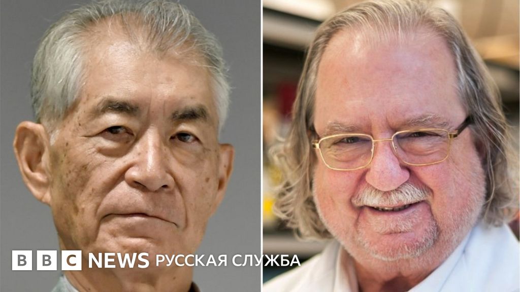 Нобелевскую премию по медицине дали за иммунотерапию раковых