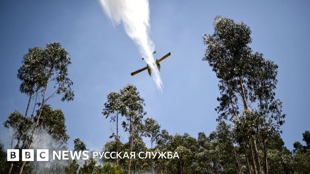 В Португалии разбился пожарный самолет Bbc News Русская служба