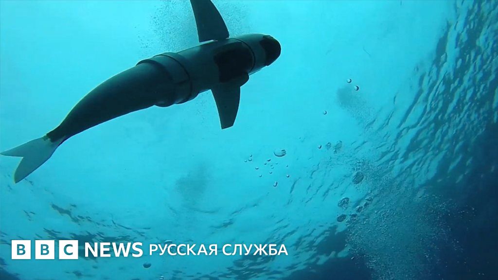 Рыба-робот: как она устроена и зачем нужна? - BBC News Русская служба