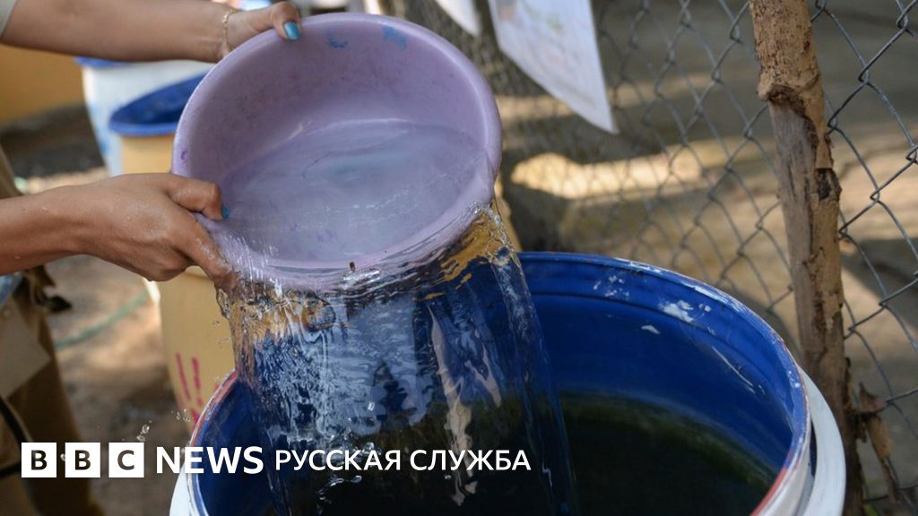 Российские банки выдали миллиард рублей под залог бочек с водой - BBC ...