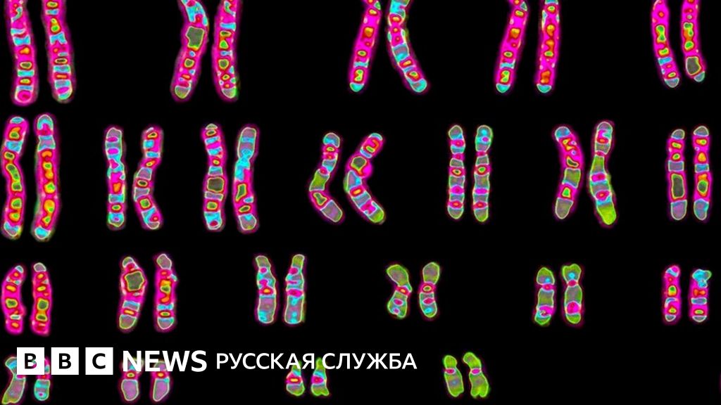 Хотите гарантированно много зарабатывать? Учитесь на генного инженера ...