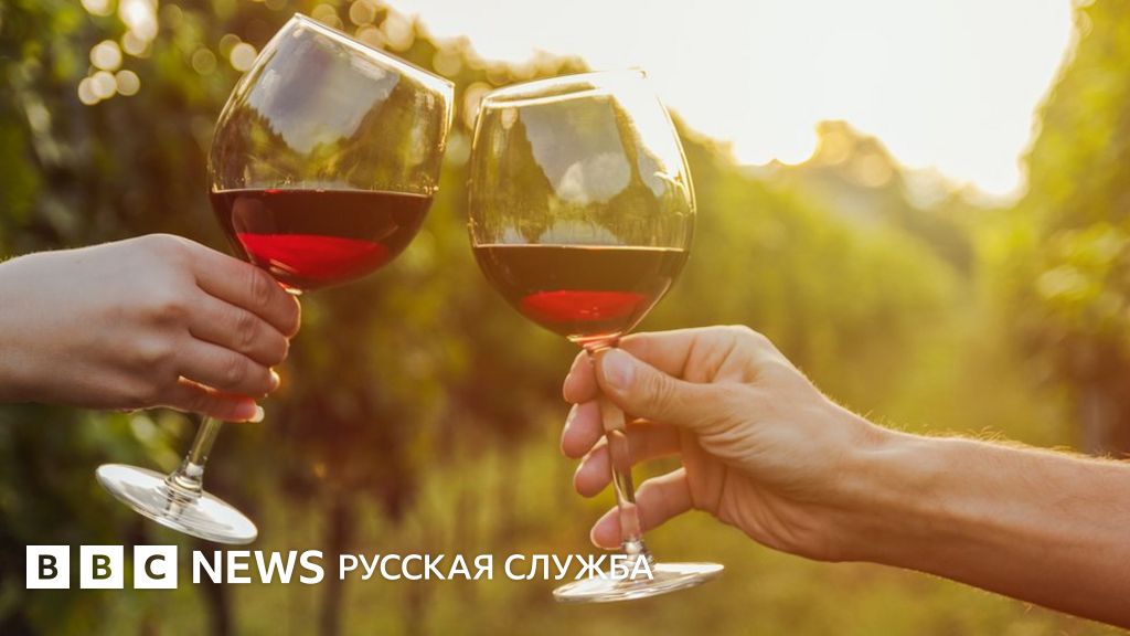 Британские ученые: красное вино полезно для кишечника - BBC News ...