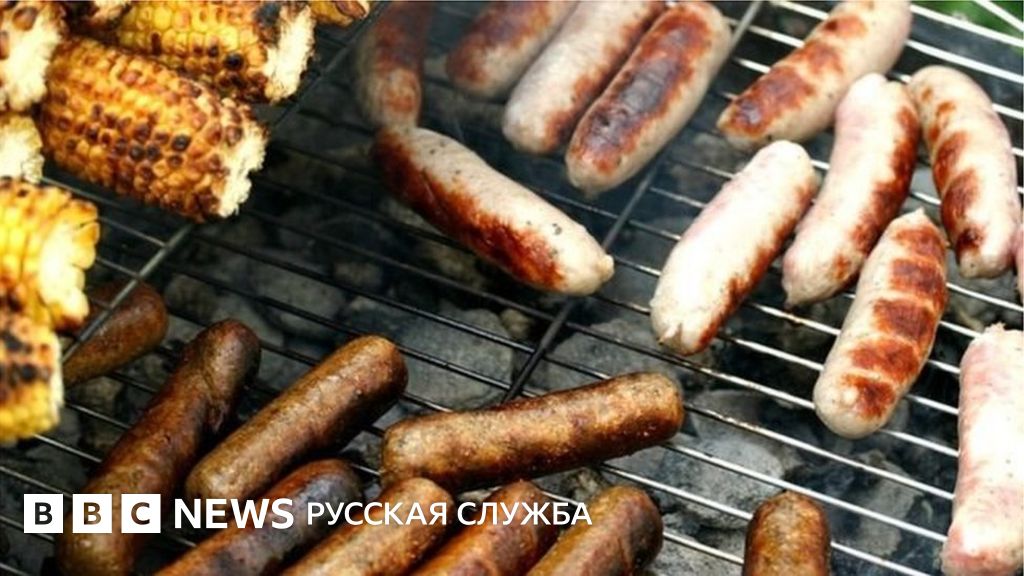 Во Франции запретят использовать "мясные" термины для веганских ...