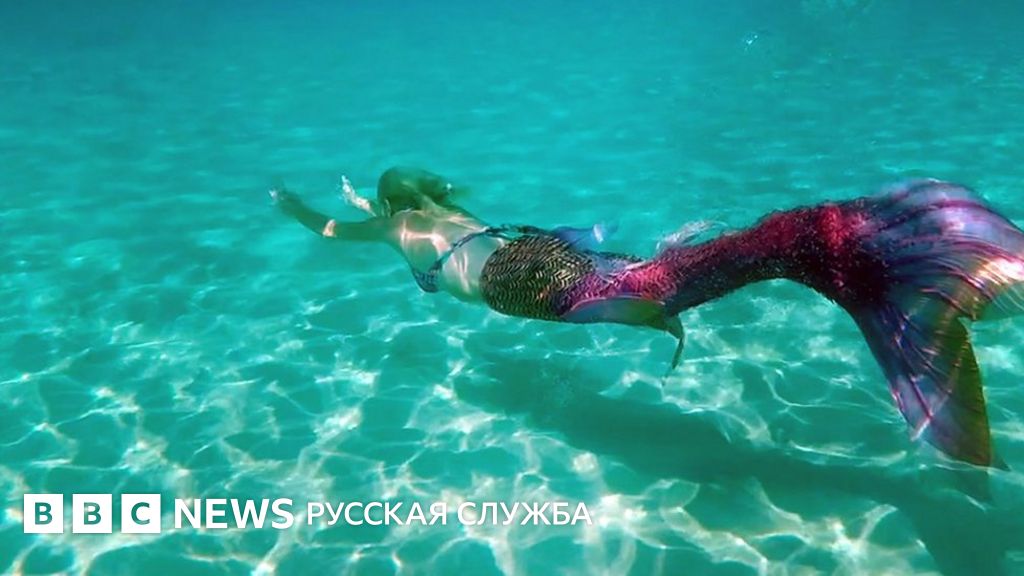 Хвост в помощь: как худеют "русалочки" - BBC News Русская служба