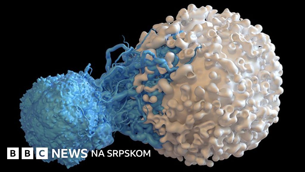 Na pragu velikog otkrića: Prvi korak ka leku „za sve vrste kancera ...