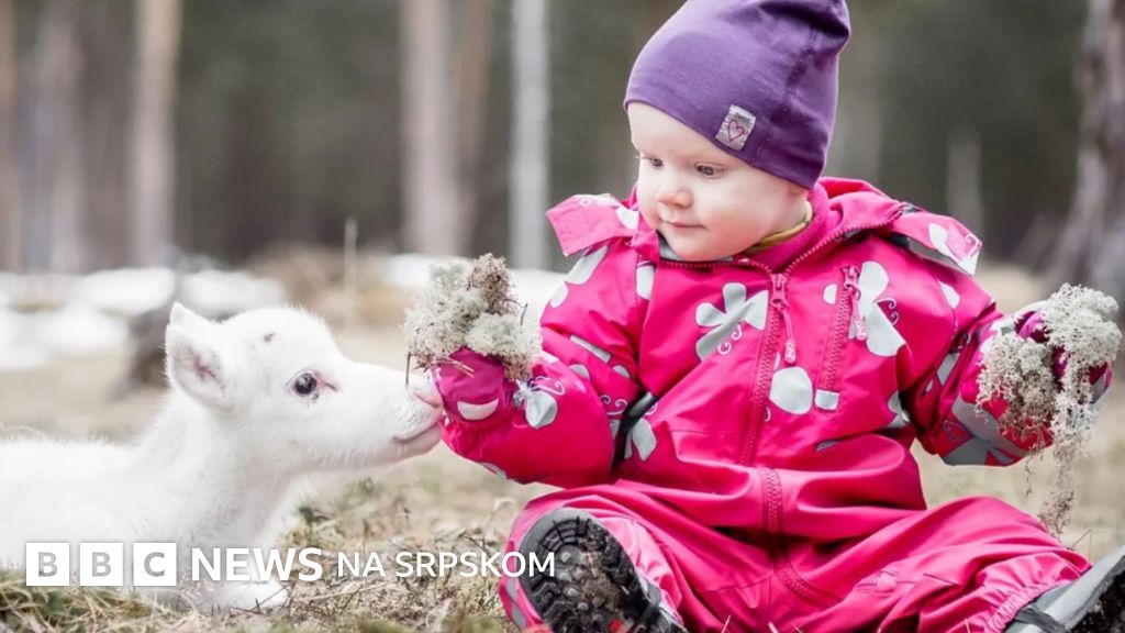 Porodica: Tajna roditeljstva za preživljavanje na Arktiku - BBC News na ...