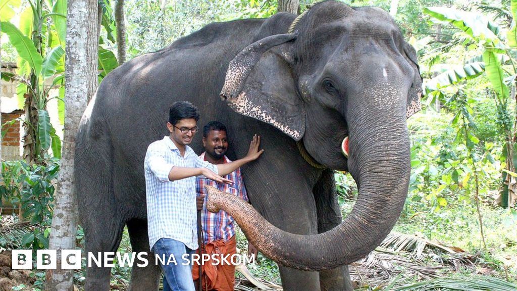 Najstarija slonica preminula u 88. godini - BBC News na srpskom