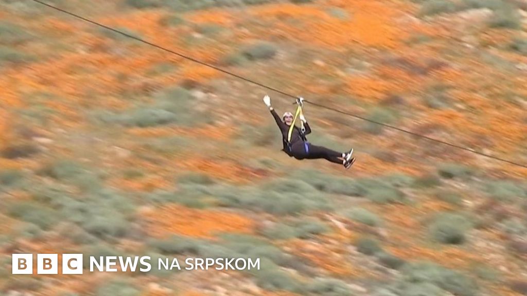 Zip-lajn u Kaliforniji: Spust sajlom nad rascvetanim poljima maka - BBC ...