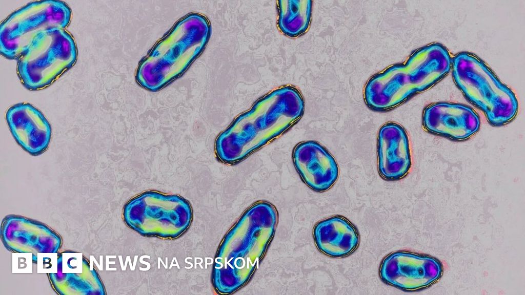 Zdravlje: Kako je bubonska kuga promenila ljudski imuni sistem - BBC ...