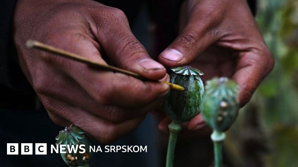 Narkotici: Pet razloga zašto je Mjanmar postao najveći svetski ...