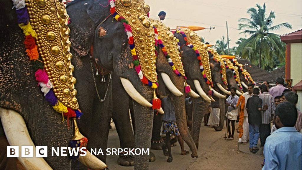 Indija i životinje: Hram u Kerali tokom obreda koristio robota umesto slona - BBC News na srpskom