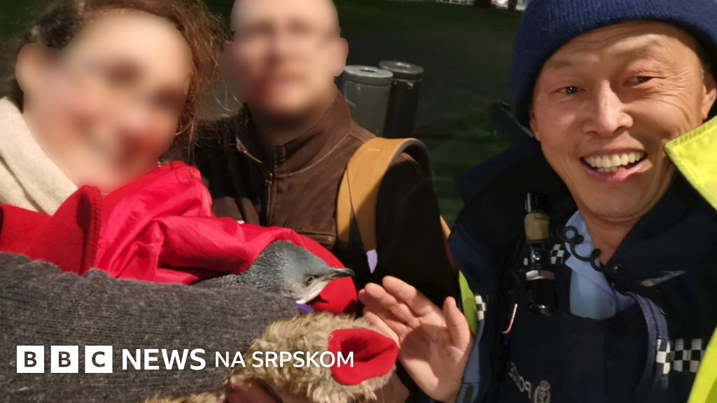 Kad pingvini svrate na porciju sušija - BBC News na srpskom