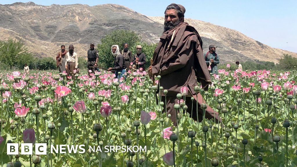 Avganistan: Iza kulisa talibanskog rata protiv droge - uništavanje ...