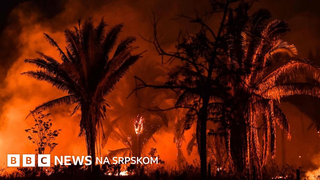 Požari u Amazoniji: Najviše vatre u poslednjih 13 godina - BBC News na ...