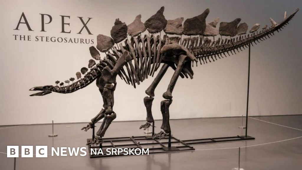 Arheologija: Skelet dinosaurusa prodat na aukciji za rekordnih 40 miliona evra - BBC News na srpskom
