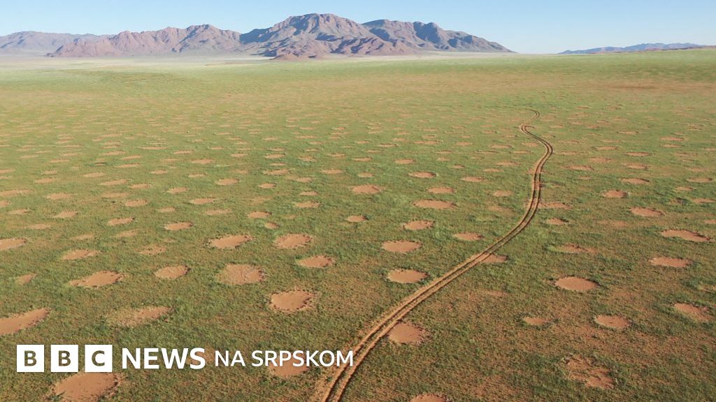 Afrika i priroda: Rešena misterija „vilinskih“ krugova u Namibiji - BBC ...